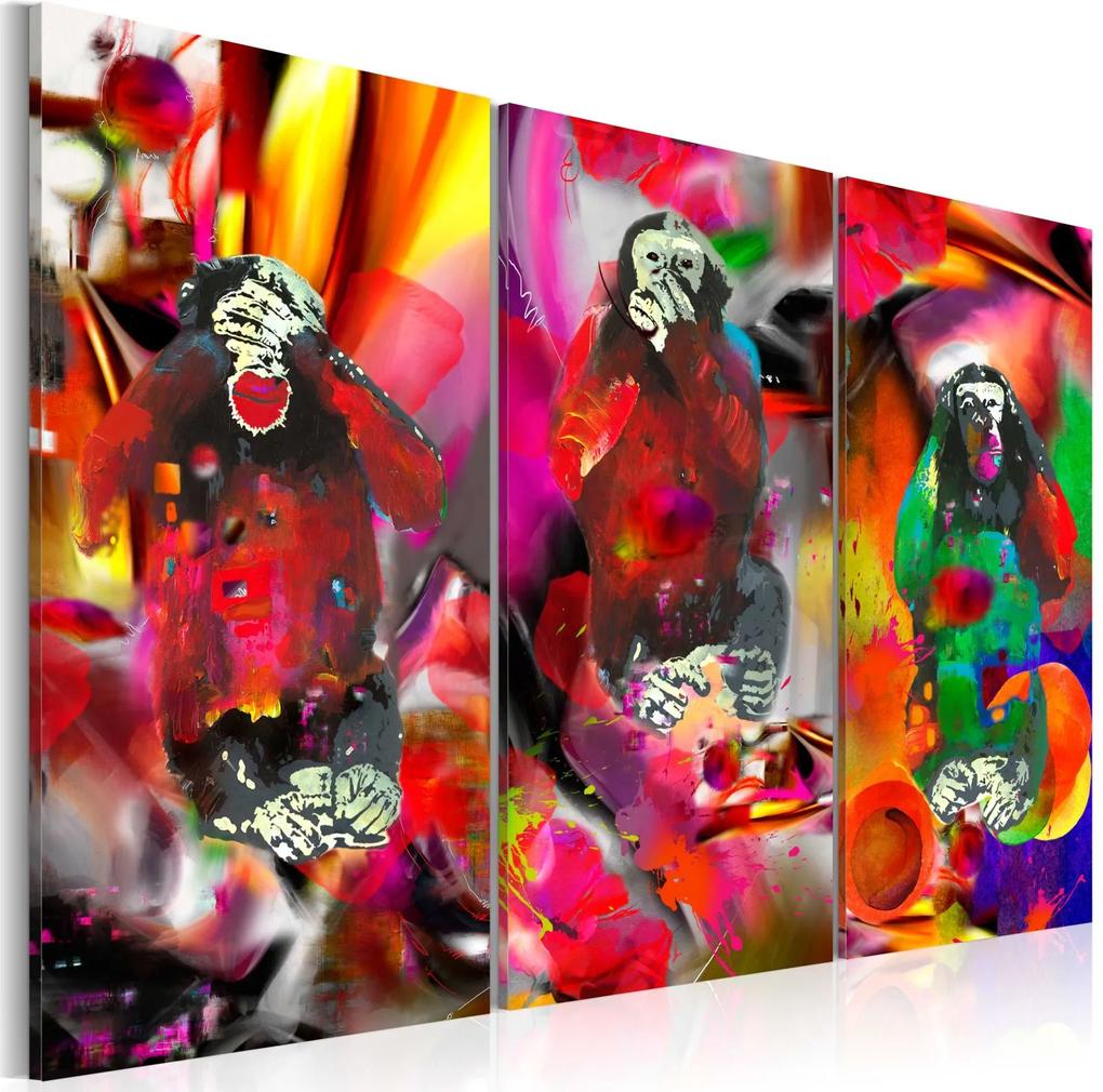Obraz - Crazy Monkeys - triptych 90x60
