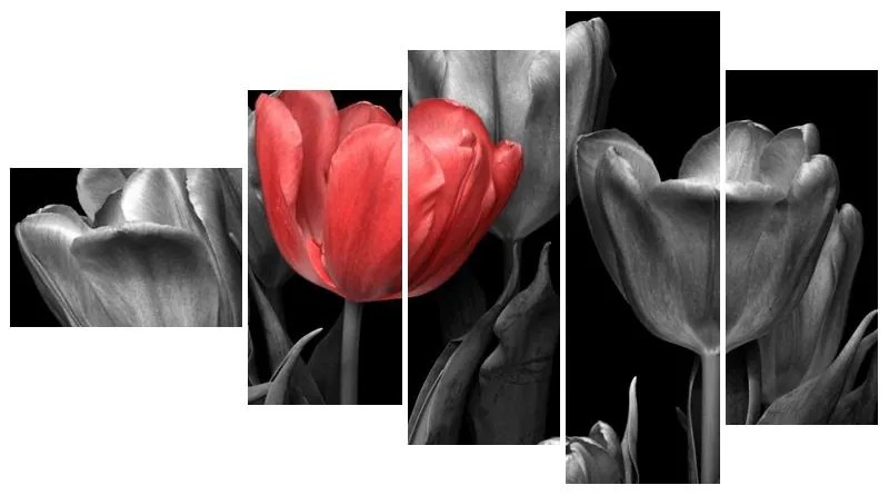 Obraz červené květiny  (110x60 cm), 40 dalších rozměrů