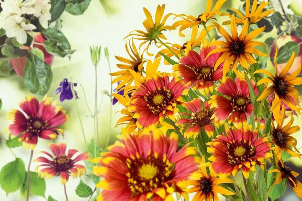 DIMEX | Samolepicí vliesová fototapeta na zeď Květiny v zahradě MA-5-1291 | 375 x 250 cm | zelená, červená, žlutá, růžová