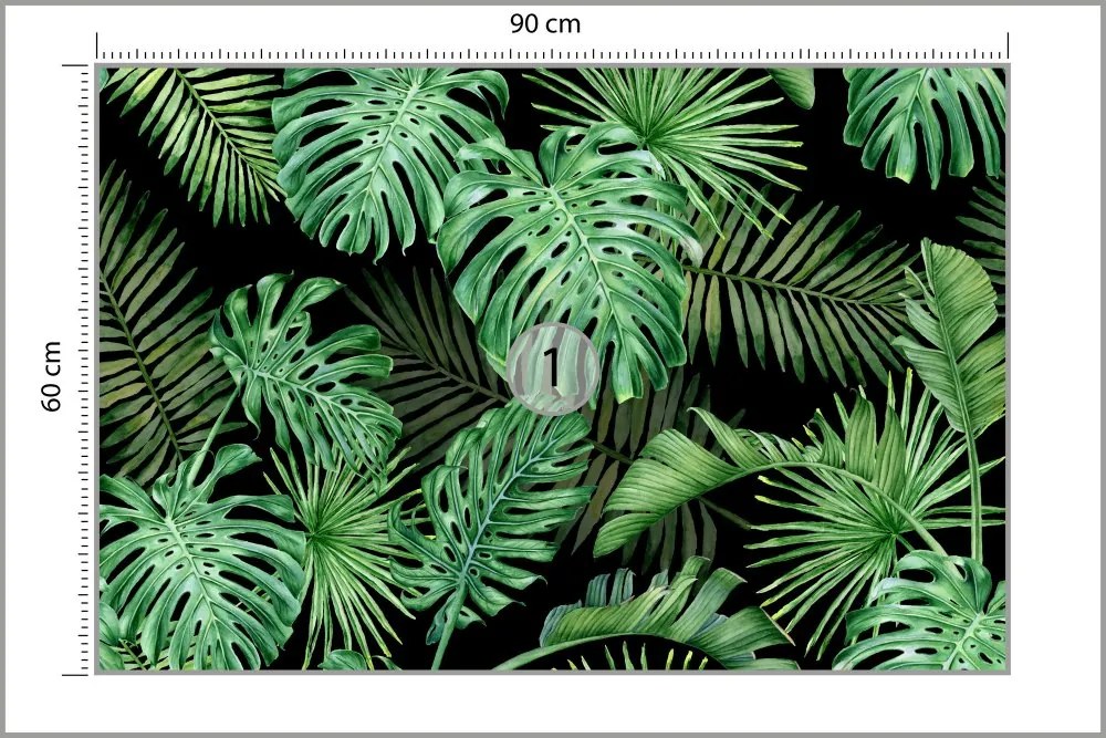 Fototapeta Monstera Odchází Omyvatelný vlies 368x254