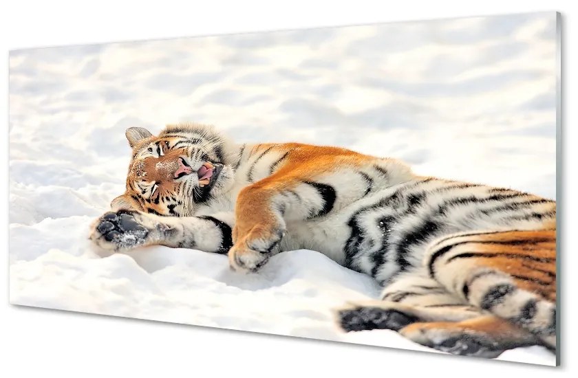 Obraz na skle Tiger winter 120x60 cm