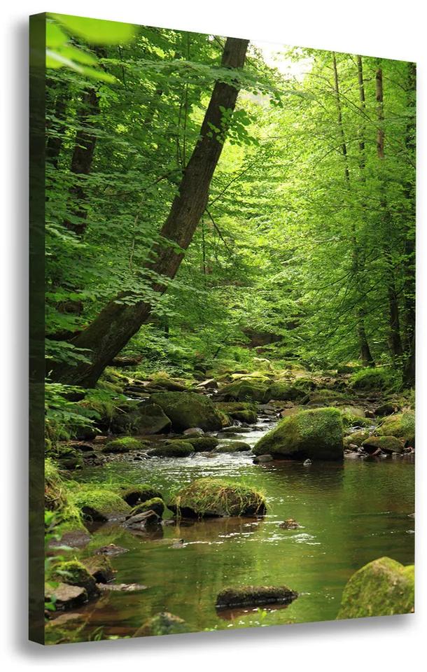 Wallmuralia Foto obraz canvas Řeka v lese 70x100 cm