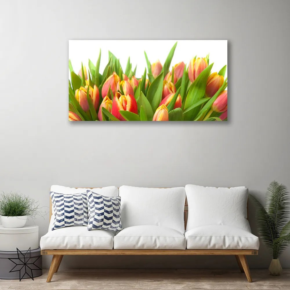 Obraz na plátně Tulipány Květiny Rostlina 100x50 cm