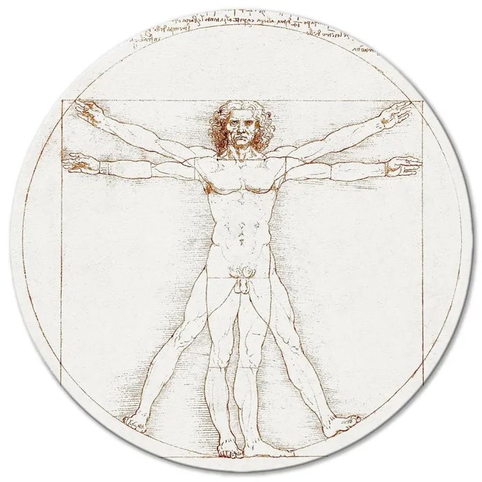 Kulatý obraz Leonardo da Vinciho vitruviánský muž - kresba proporcí mužského těla