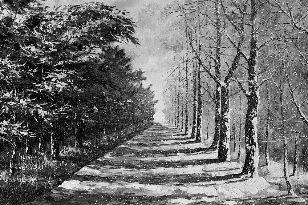 Tapeta podzimní cesta lesem černobílá - 225x150 cm