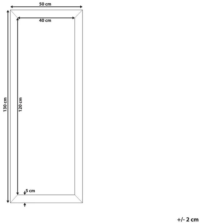 Nástěnné zrcadlo AJACCIO 50 x 130 cm stříbrné Beliani