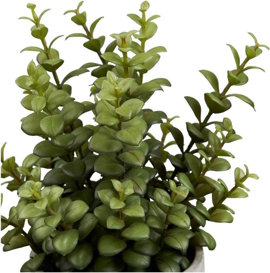Umělá květina (výška 33,5 cm) Succulent – House Nordic