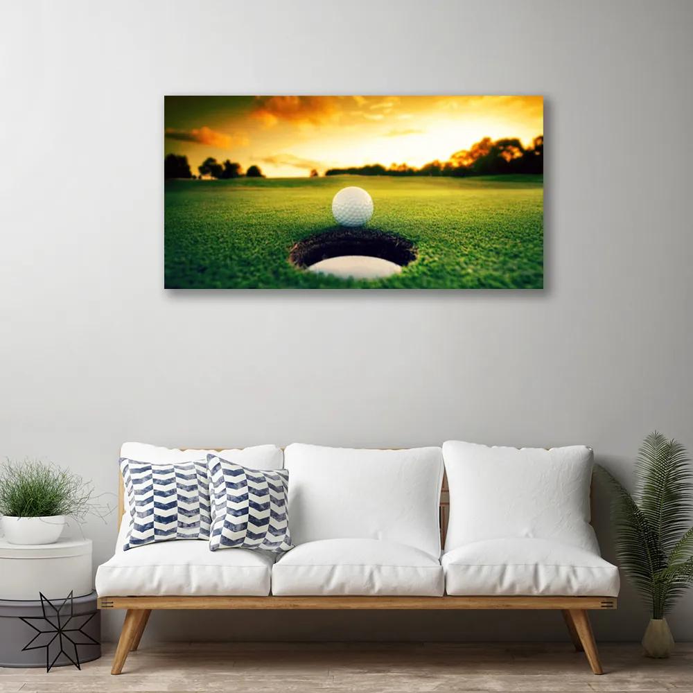 Obraz na plátně Golfový Míček Tráva Příroda 120x60 cm