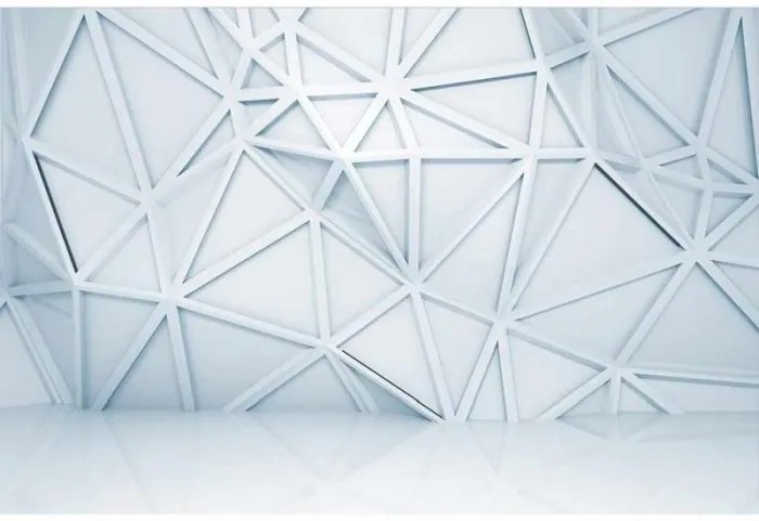 DIMEX | Samolepicí vliesová fototapeta na zeď 3D reliéf MA-5-0041 | 375 x 250 cm | bílá, šedá