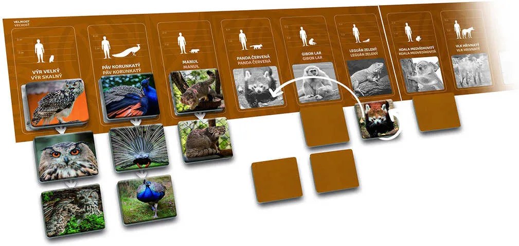 EFKO HRA Lototrio Zvířata v ZOO 2 dětské vzdělávací hry ef8861