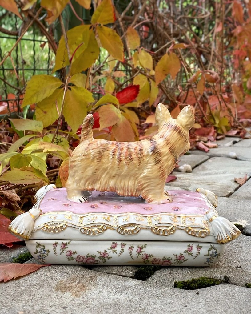 Porcelánová dóza - Scottish Terrier