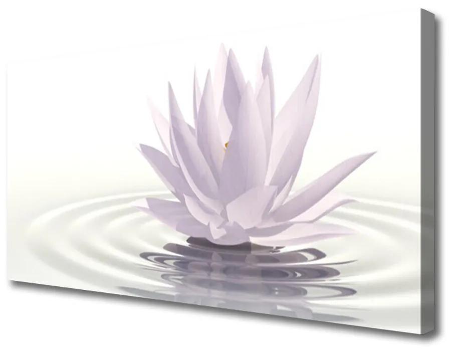 Obraz na plátně Květ Voda Umění 120x60 cm