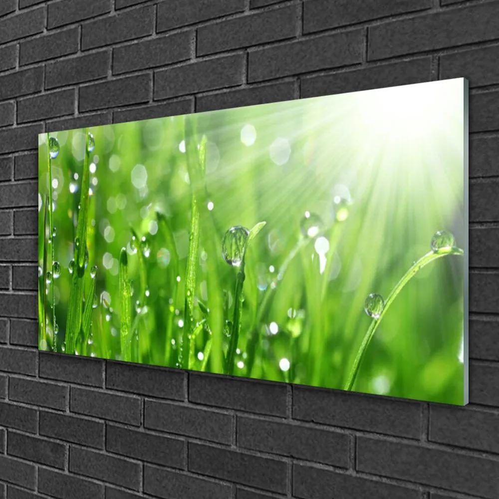 Obraz na skle Příroda Tráva Kapky 100x50 cm