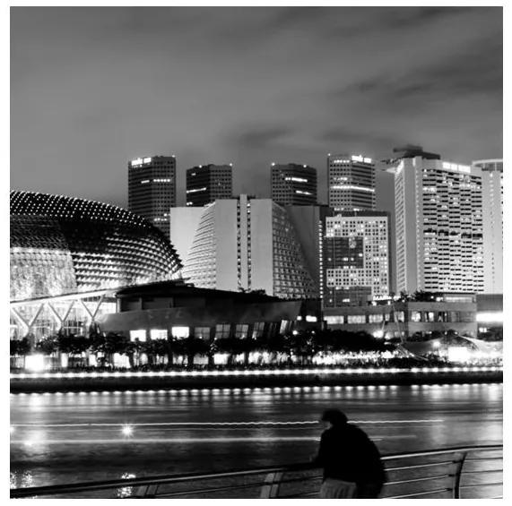 Černobílý obraz - Singapore (40x40 cm), 40 dalších rozměrů