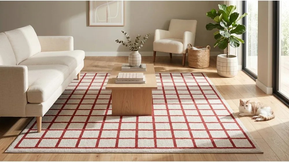 Červený/béžový koberec 160x230 cm Picnic – ESTE