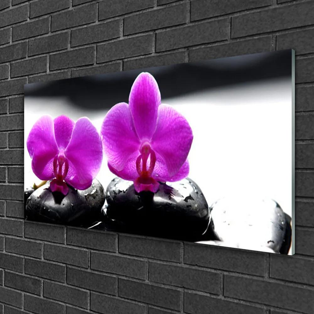 Obraz na skle Květiny Kameny Zen Lázně 125x50 cm