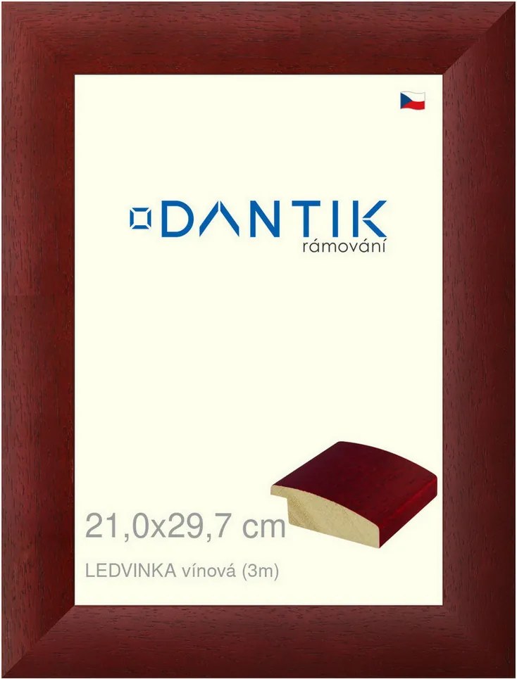 DANTIK rámeček 21x29,7 | LEDVINKA vínová (Sklo Čiré)