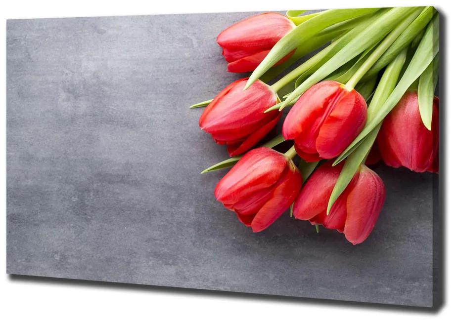 Wallmuralia Foto obraz na plátně Červené tulipány 100x70 cm