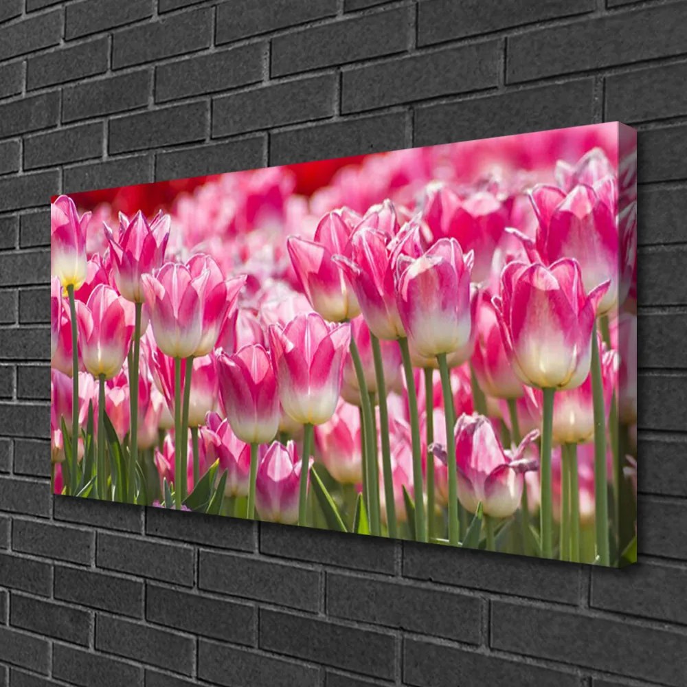 Obraz na plátně Tulipány Květiny Příroda 120x60 cm