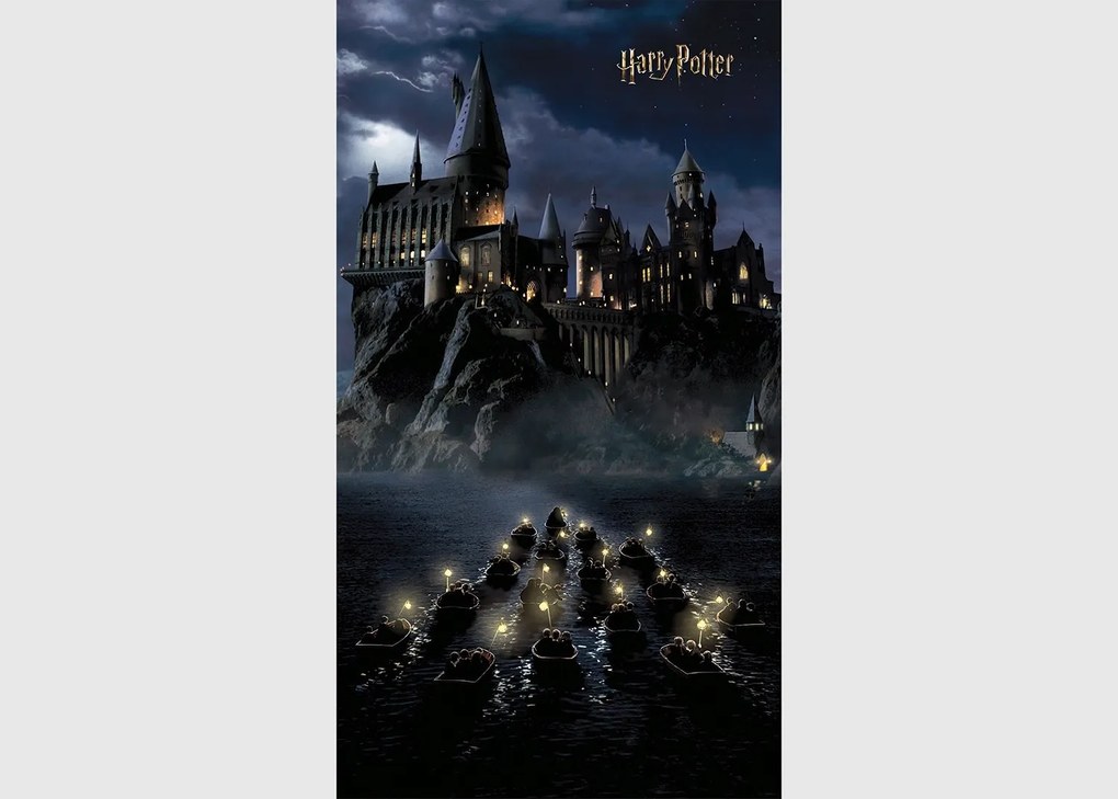 Dětská vliesová fototapeta na zed' Harry Potter První Rok v Bradavicích | 150 x 270 cm | DFTD2P5621