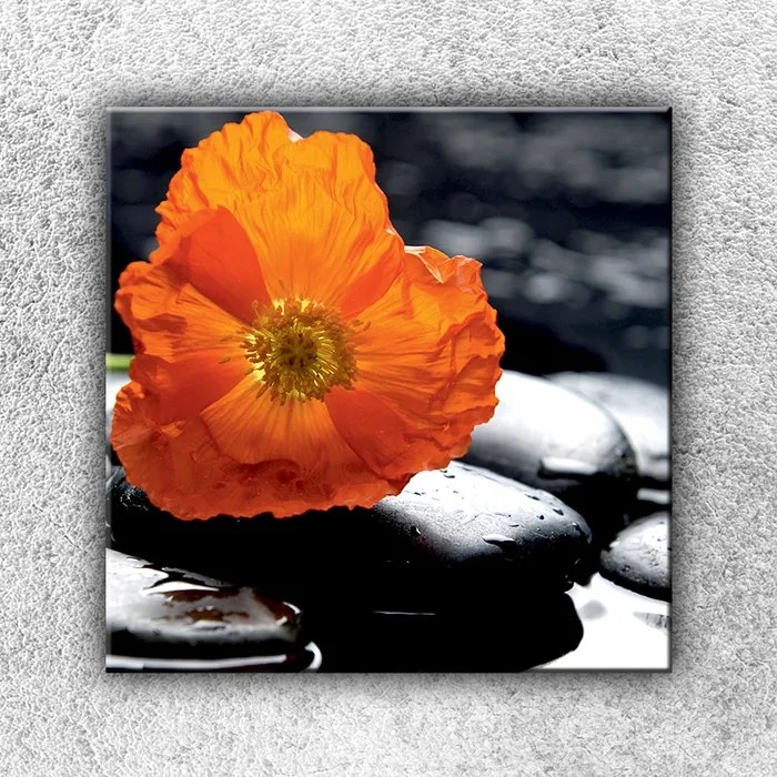 Obraz na zeď Oranžový květ na oblázku