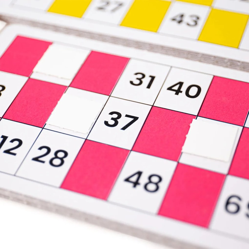 Bigjigs Toys Tradiční Bingo