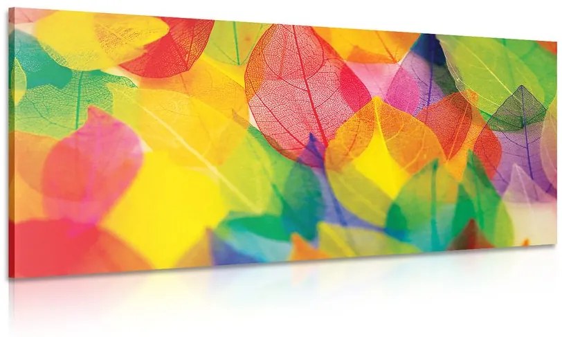 Obraz listy v podzimních barvách Varianta: 100x50