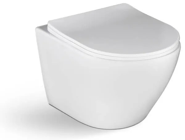 Laveo Desna, závěsná WC mísa Rimless 485x370x320 mm + toaletní sedátko, bílá lesklá, LAV-VMD_600S
