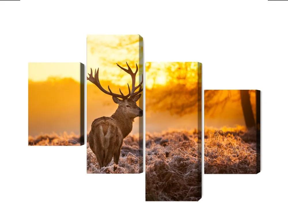 Vícedílný obraz Jelen V Lese Při Západu Slunce 3D Nedostatek Nedostatek Přírodní plátno 240x150
