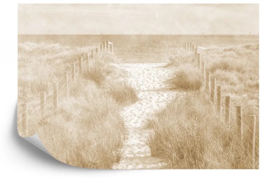 Fototapeta Pojďme Dolů Do Beach Faded Vintage Sepia Hladký vinyl 152.5x104