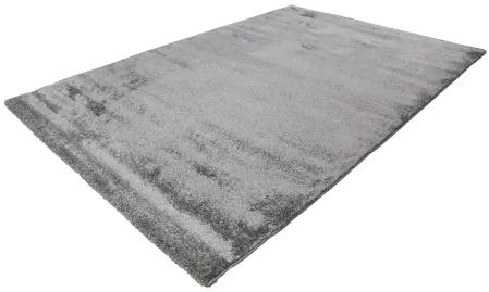 Koberce Breno Kusový koberec SOFTTOUCH 700/silver, Stříbrná, 120 x 170 cm