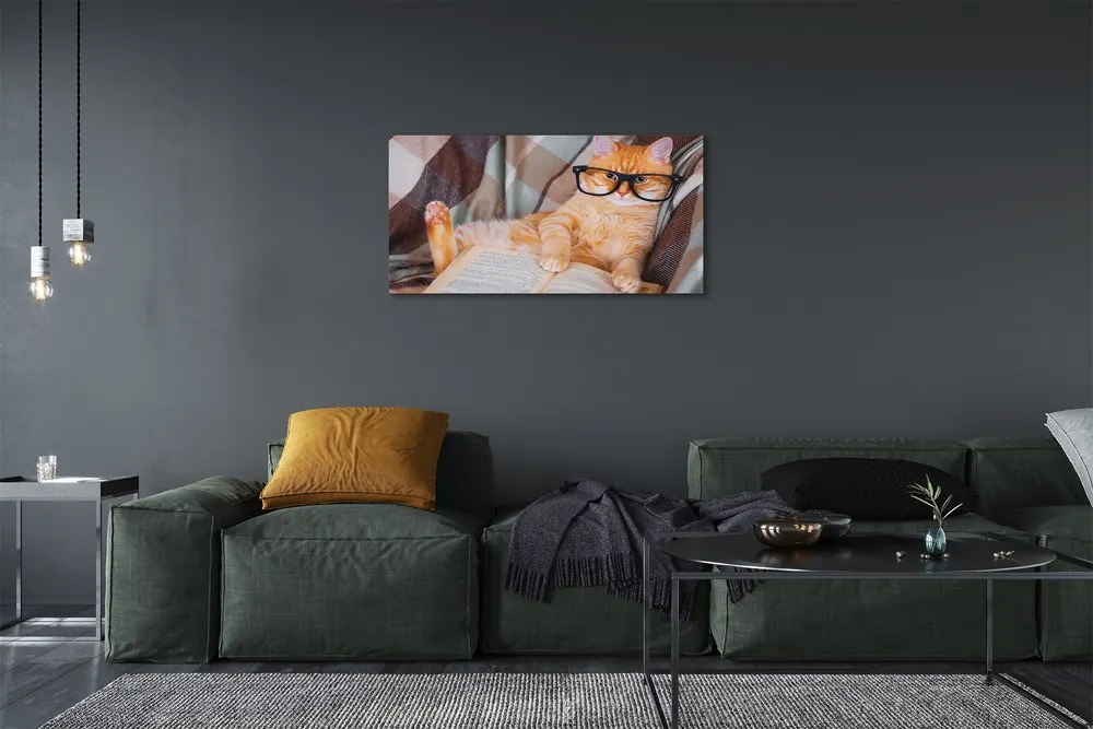 Obrazy na plátně Čtenář cat 100x50 cm