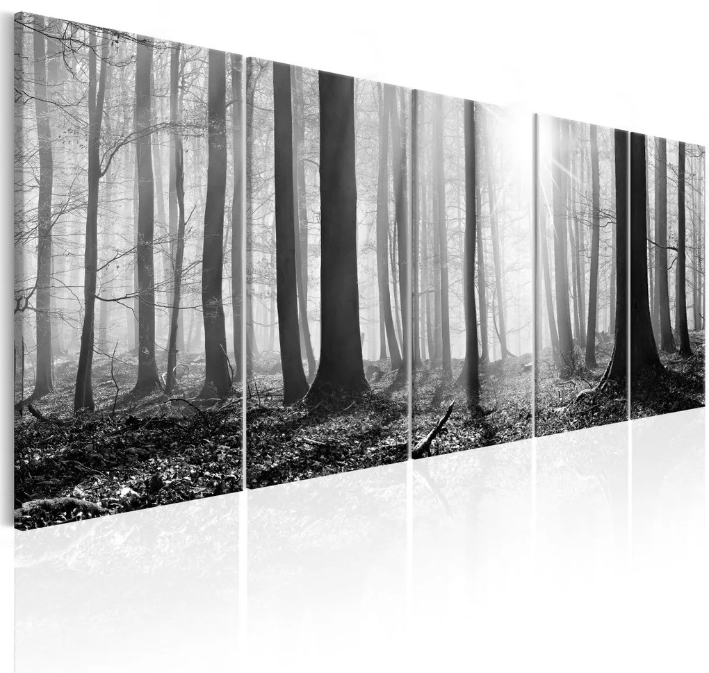 Murando DeLuxe Vícedílný obraz - les Velikost: 225x90 cm