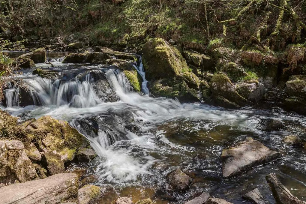 DIMEX | Samolepicí vliesová fototapeta na zeď Cornwall, Anglie MA-5-3154 | 375 x 250 cm | zelená, bílá, šedá