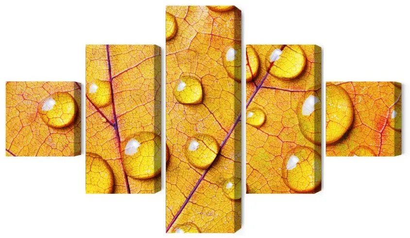 Vícedílný obraz Kapky Vody Na Podzimní Listí Makro Nedostatek Nedostatek Plátno Canvas 150x90