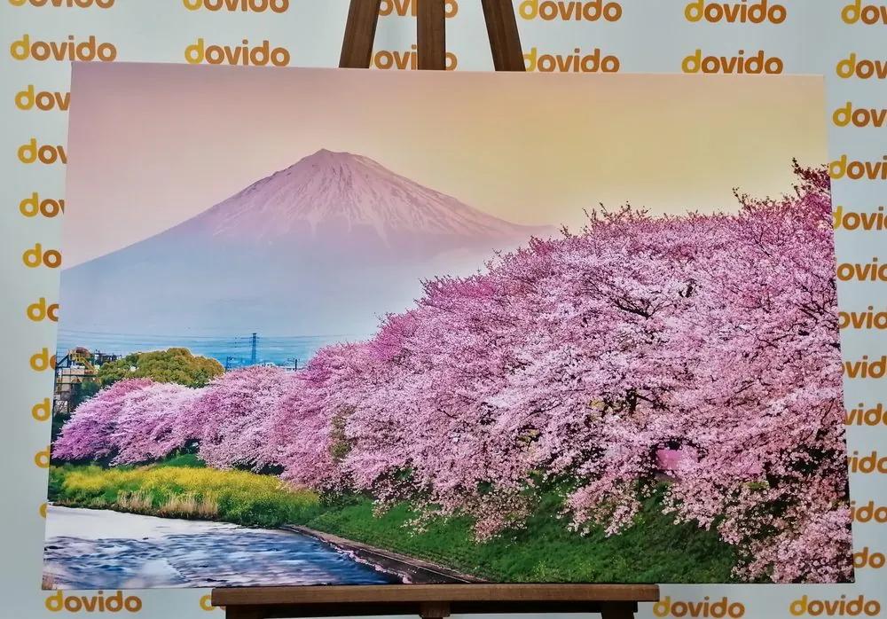 Obraz japonska sopka Fuji