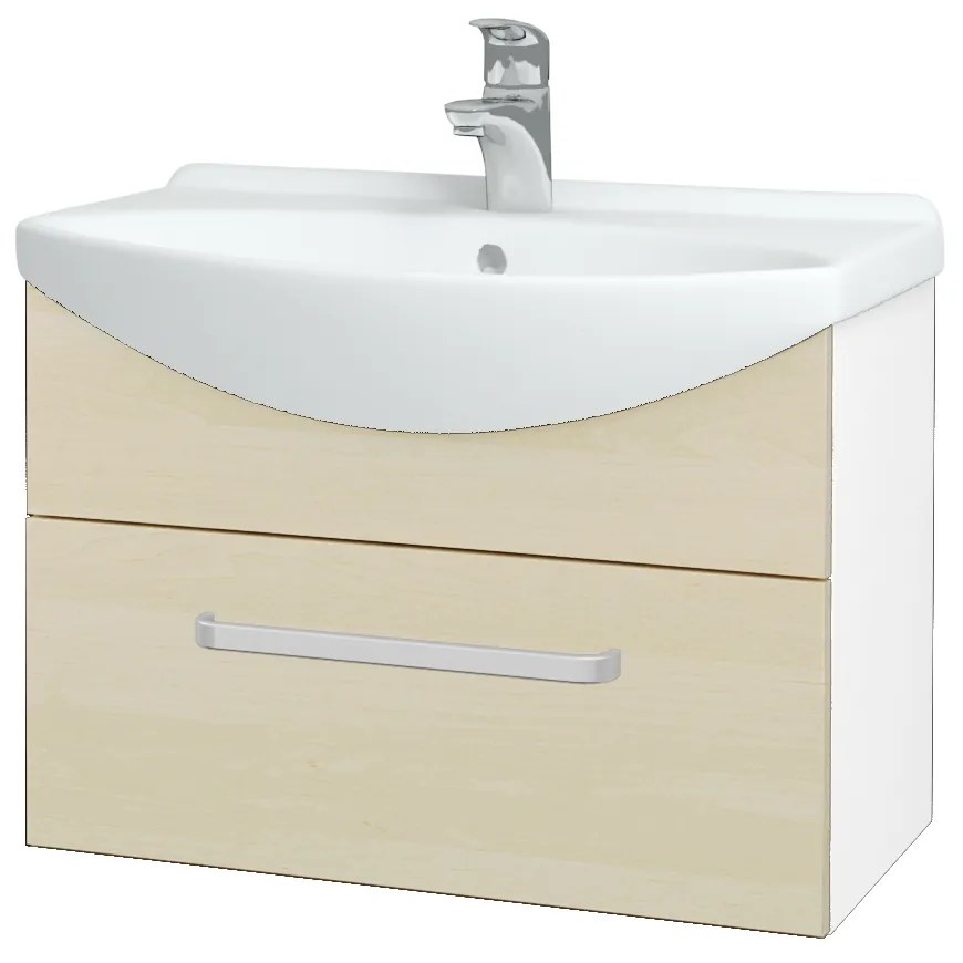 Dřevojas Koupelnová skříň TAKE IT SZZ 65 Varianta: N01 Bílá lesk / Úchytka T01 / N01 Bílá lesk