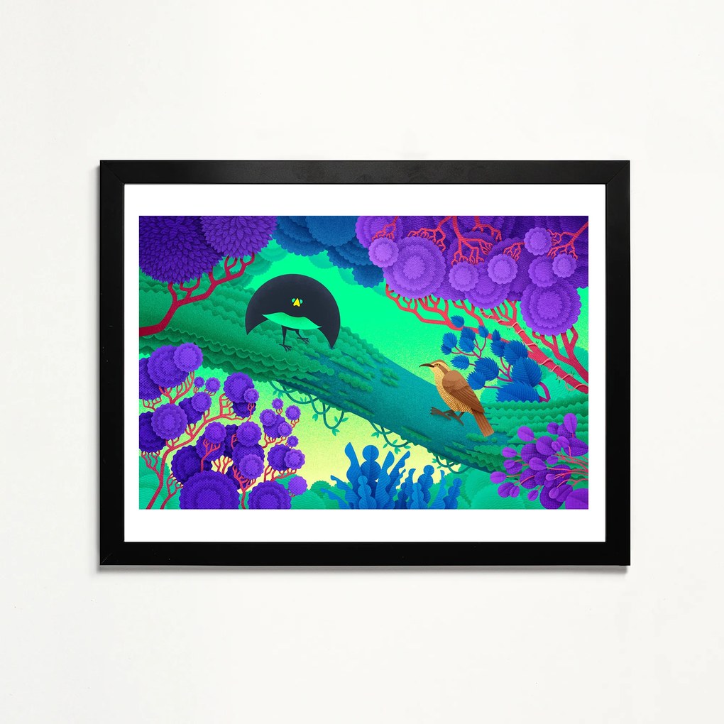 Dávid Soboň | Dancing Bird of Paradise Rám: Černý, Velikost: 30 x 40 cm