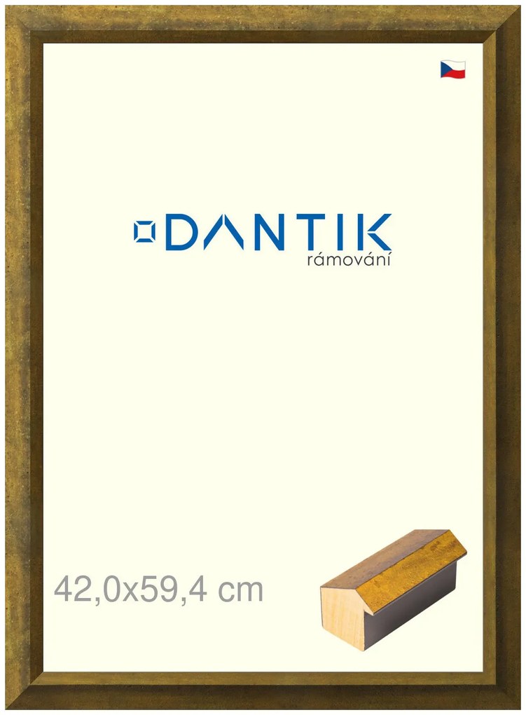 DANTIK rámeček 42x59,4 | Forgia Gold (Plexi Čiré)