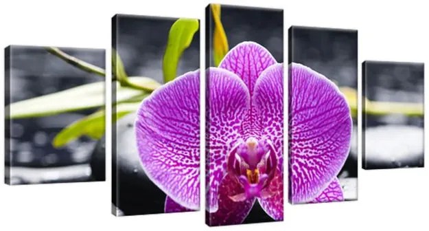 Tištěný obraz Orchidea 150x70cm 1159A_5B