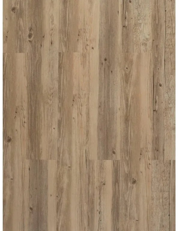 Tajima, Vinylová podlaha lepená Tajima Classic Ambiente 6206 béžová, 1219,2 x 177,8 mm