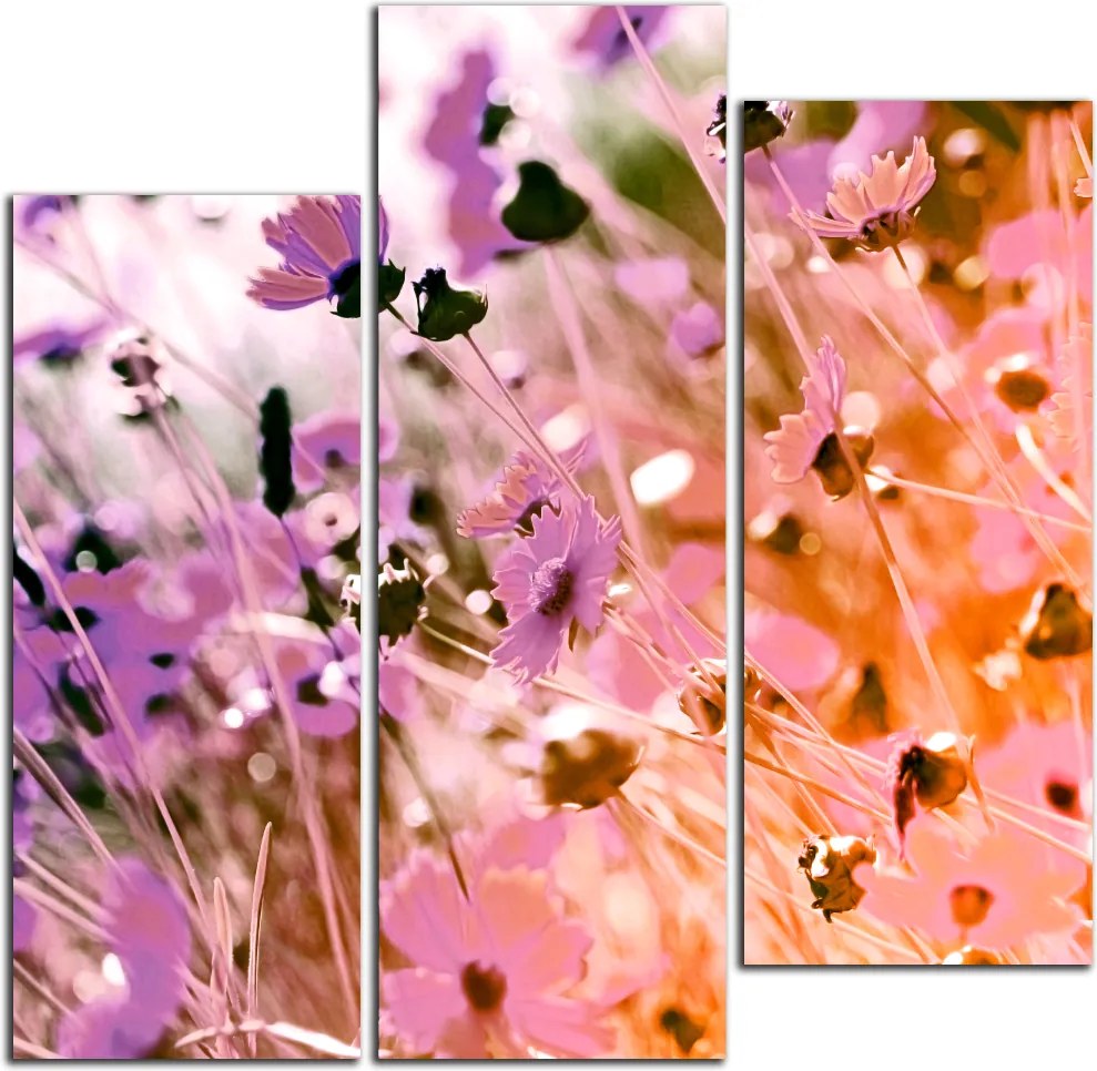 Obraz Květy na louce , vícedílný