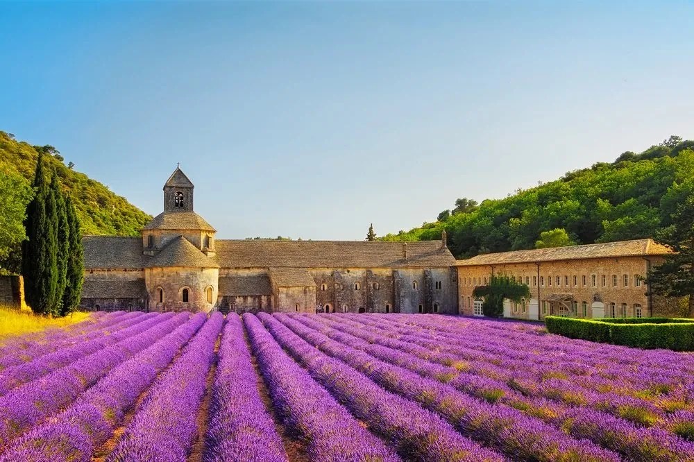 Samolepící fototapeta Provensálsko s levandulovými poli - 150x100 cm