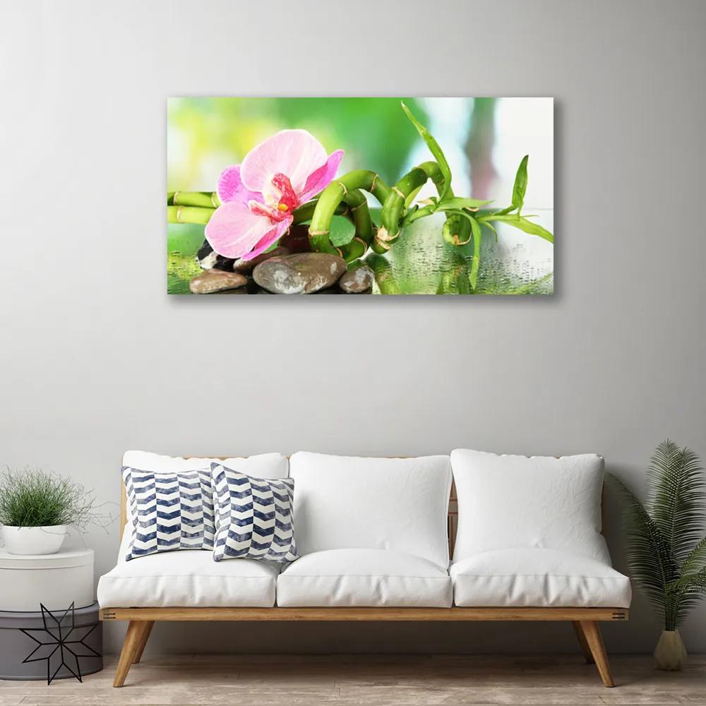 Obraz na plátně Bambus Stonek Rostlina Příroda 125x50 cm