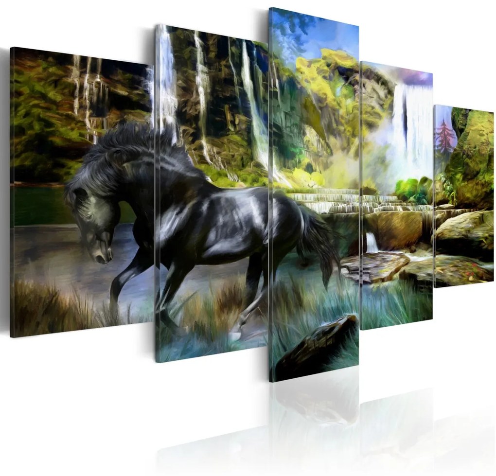 Obraz - Black horse on the background of paradise waterfall