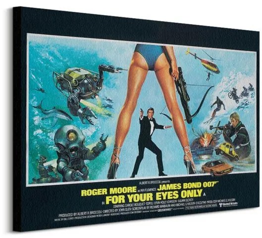 Obraz na plátně James Bond (For your eyes only Legs) 80x60cm WDC99476