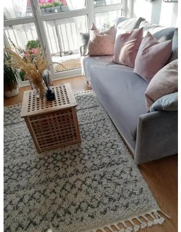 koberec BERBER AGADIR GO522, krémovo šedý střapce, Maroko Shaggy velikost 200x290 cm | krásné koberce cz