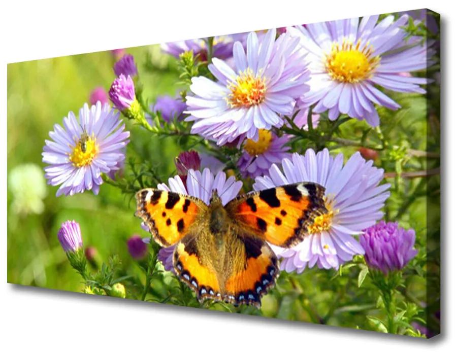 Obraz na plátně Květiny Motýl Příroda 100x50cm