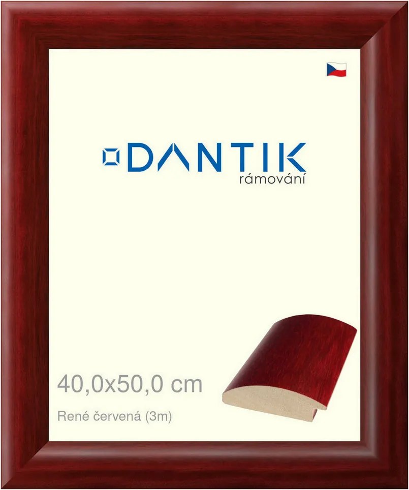 DANTIK rámeček 40x50 | René červená (Sklo Čiré)