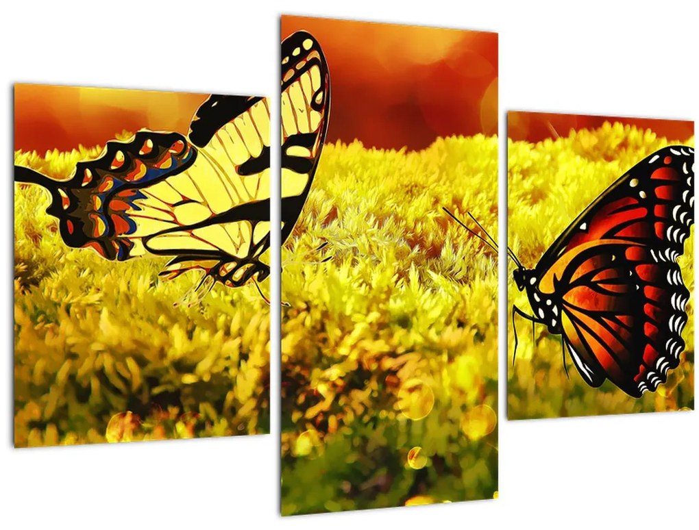 Obraz motýlů (90x60 cm), 40 dalších rozměrů